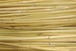 Raw materials & Pricing : Rattan cane and more - Bayside Cane