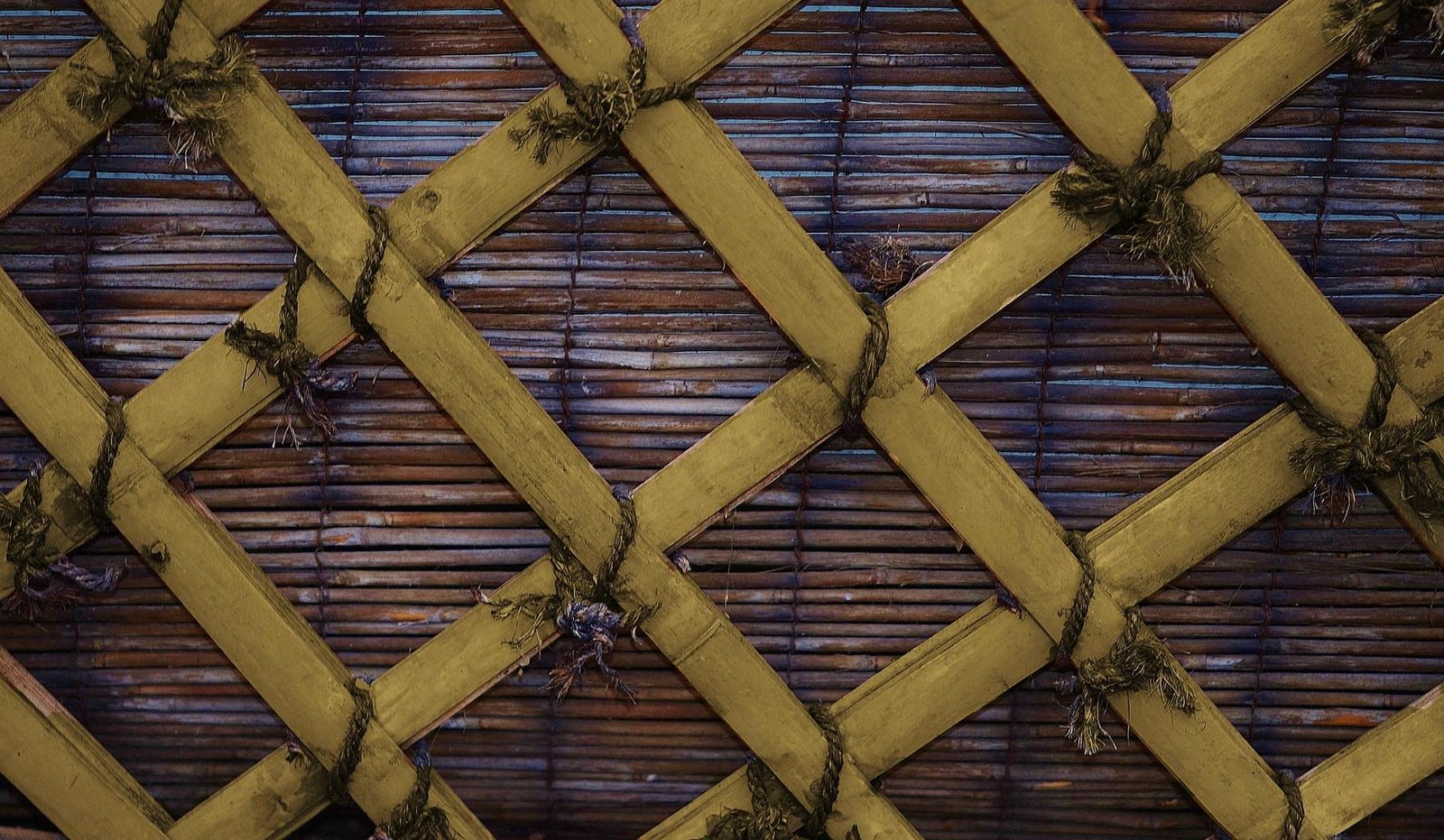 Raw cane materials : Rattan cane and more - Bayside Cane